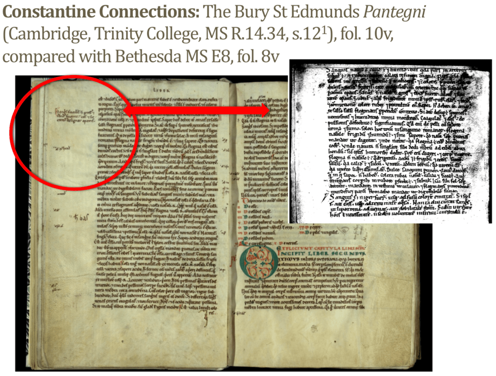 A star is born: Reading Constantine the African in Medieval England ...