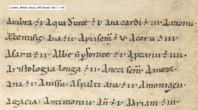 Constantinus Africanus