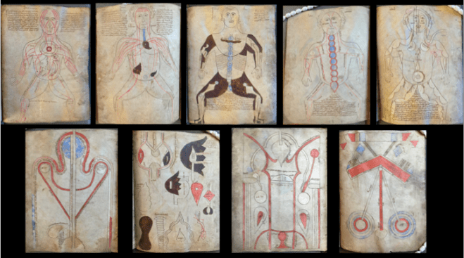 Inside Investigations: Anatomical Texts and Images in the 12th and 13th ...